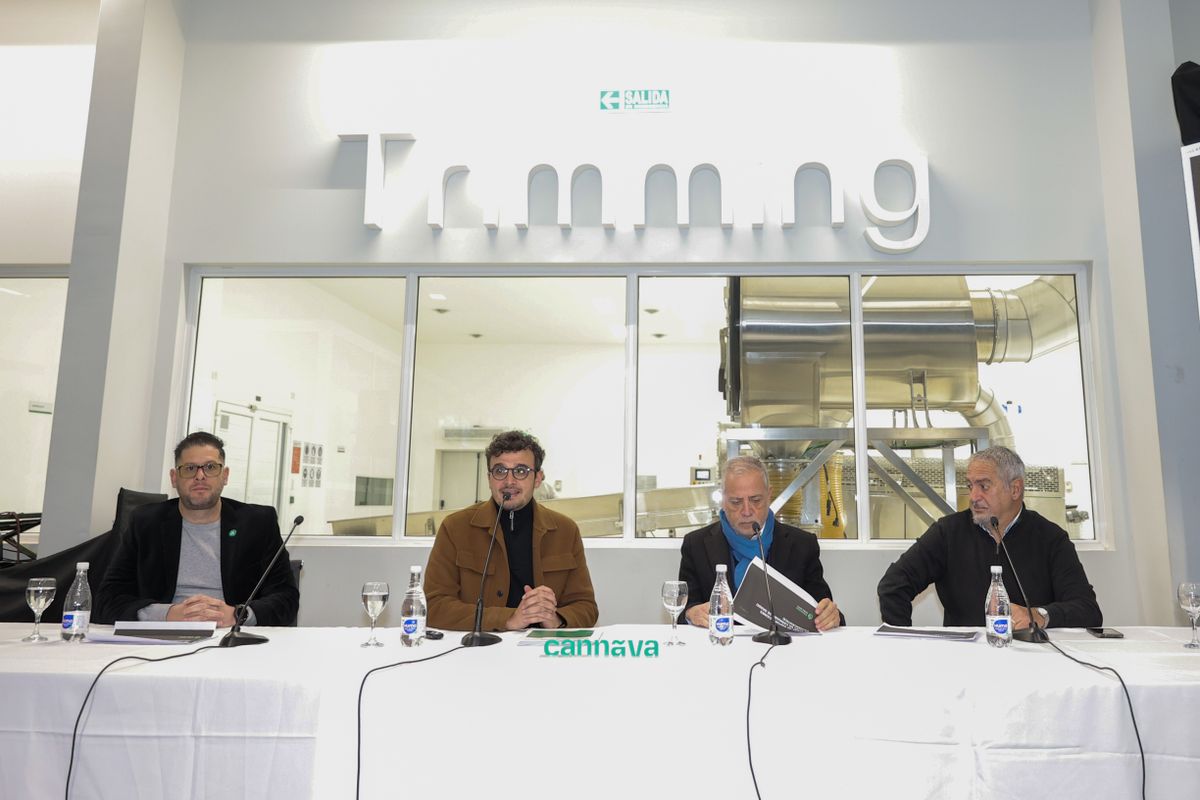 CANNAVA: Jujuy ya exporta flor de cannabis de grado farmacéutico a ...